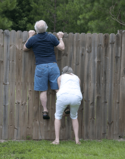 FINDING HARMONY AMONG DIFFICULT NEIGHBORS – Rosie On The House