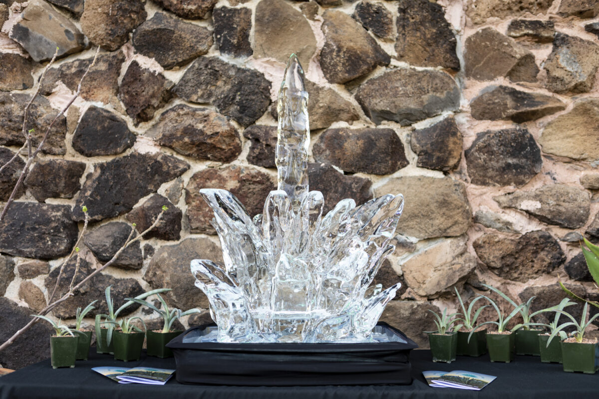 Agave Heritage Festival – Rosie On The House