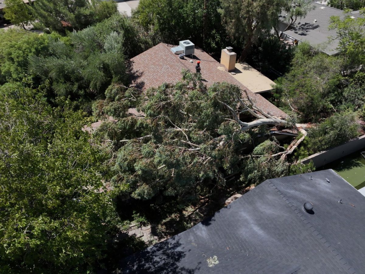 How to Protect Your Home from Arizona’s Natural Disasters – Rosie On ...